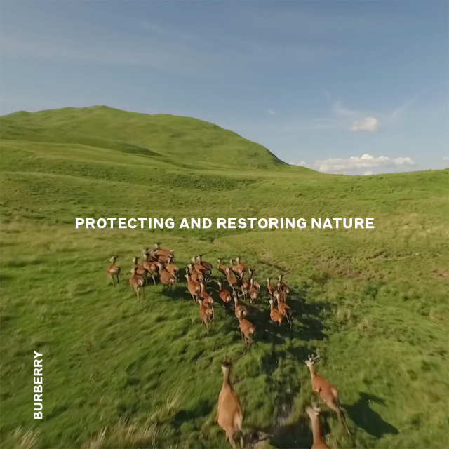 Burberry builds on Climate Positive commitment with biodiversity ...